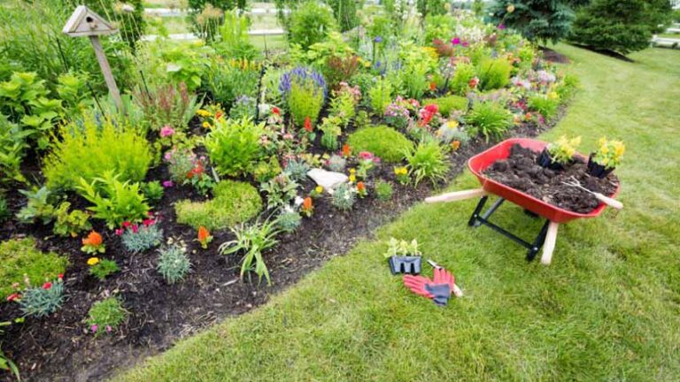 Different Types of Gardening Methods: Cultivating Your Green Thumb