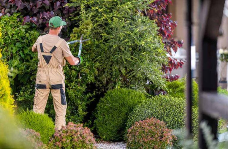How to Clear an Overgrown Garden Fast: A Guide for a Quick Garden Makeover
